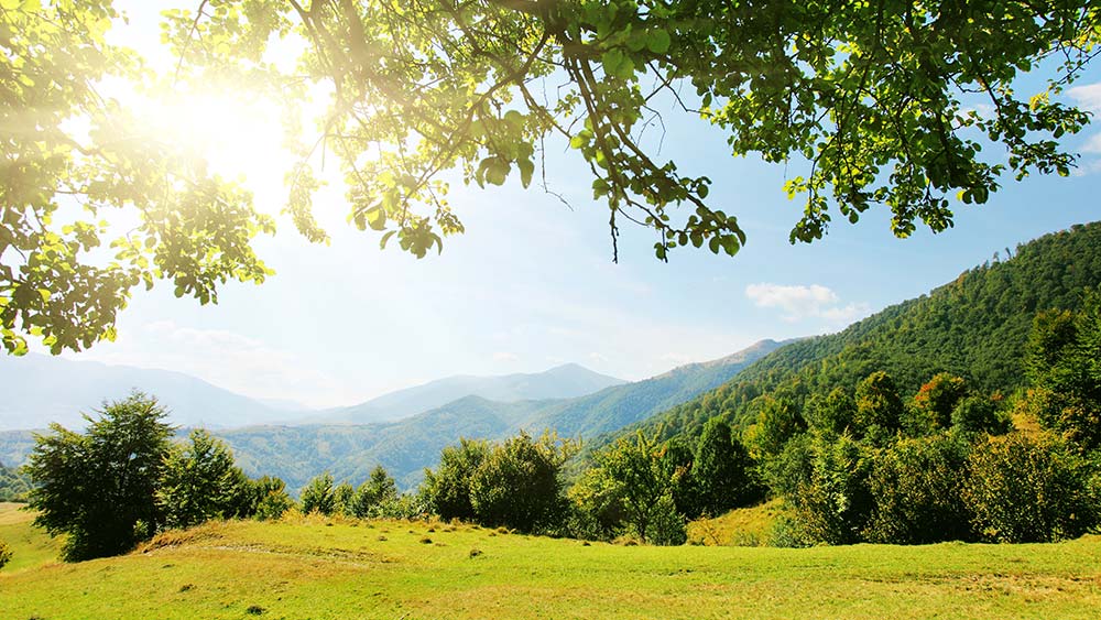 Oh Happy Day | Traders' Insight