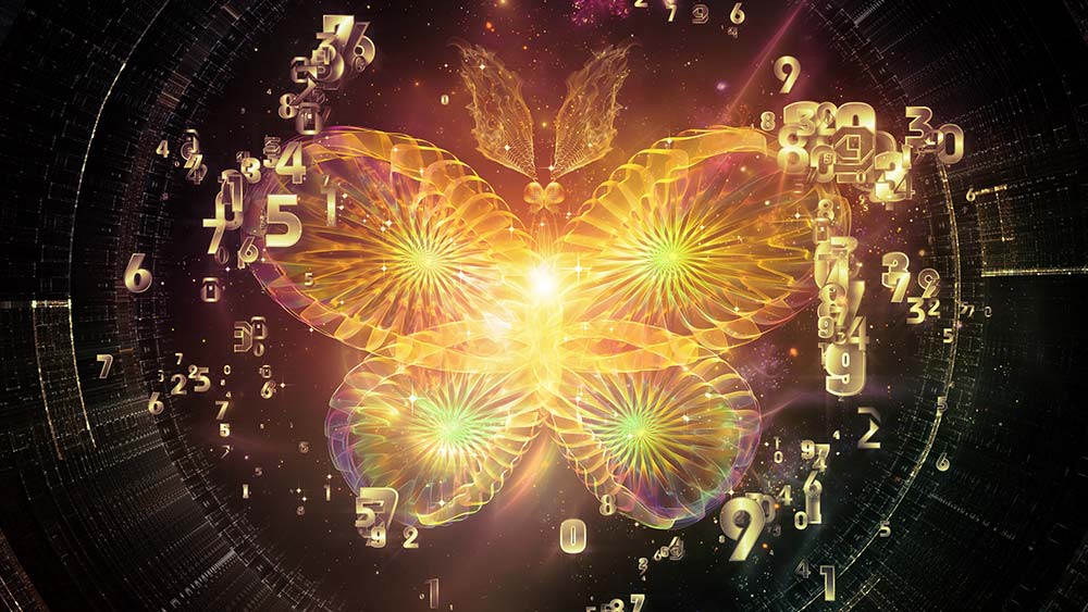 Trading Butterfly Option Spreads | IBKR Webinars