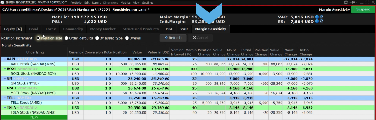 Margin requirements interactive brokers store