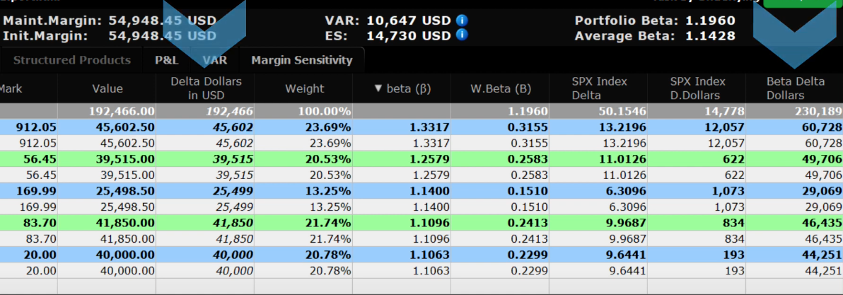 Beta Weighting in the IBKR Risk Navigator | Trading Lesson