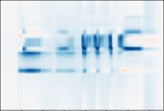 ICA on Images with Python | IBKR Quant