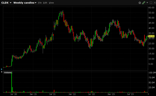 Long Term Puts Trade in Celldex Therapeutics, Inc. (Symbol:CLDX)