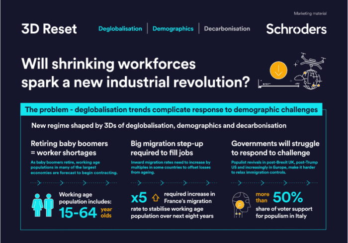 Will Shrinking Workforces Spark a new Industrial Revolution?