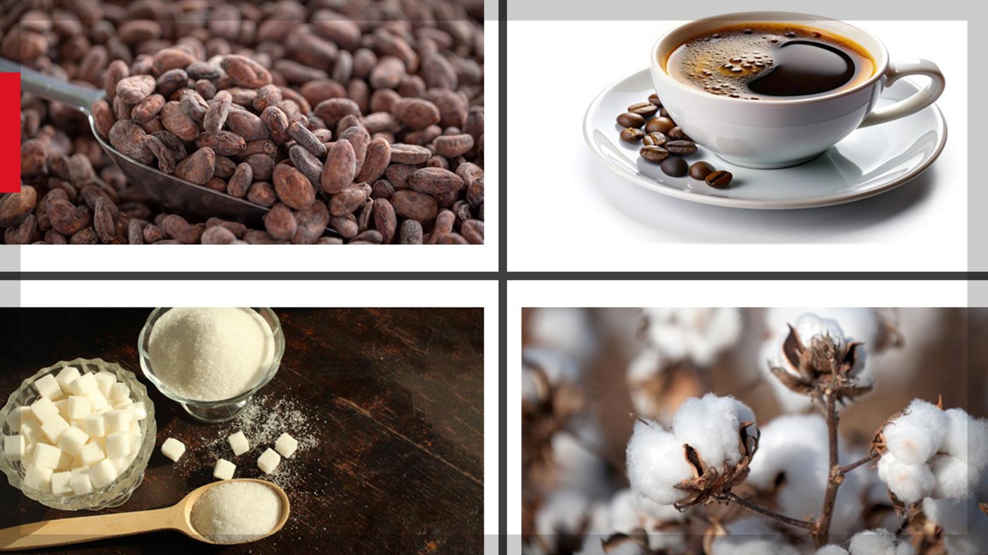 Key-Traded Agricultural Commodities | Trading Lesson