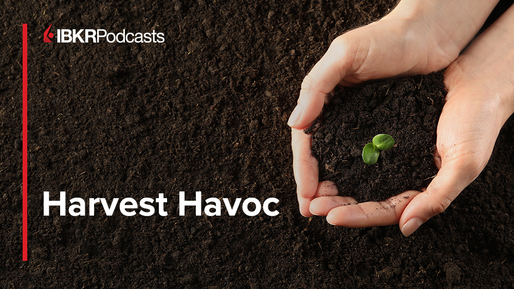 Is It Time to Reap What We’ve Tariffed? | IBKR Podcasts