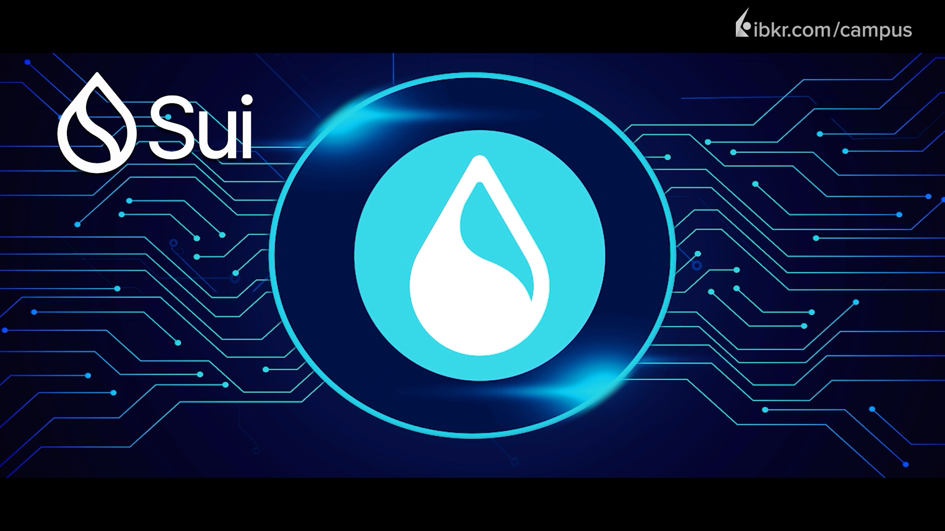 Sui (SUI) | IBKR Glossary | IBKR Campus